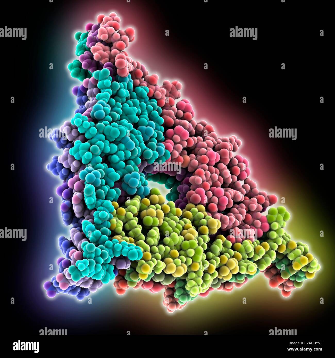 Amyloid fibril molecule. Computer model showing the structure of an ...
