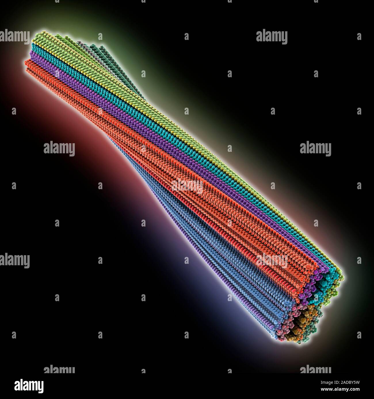 Cross-beta amyloid fibril. Computer model showing the structure of a ...