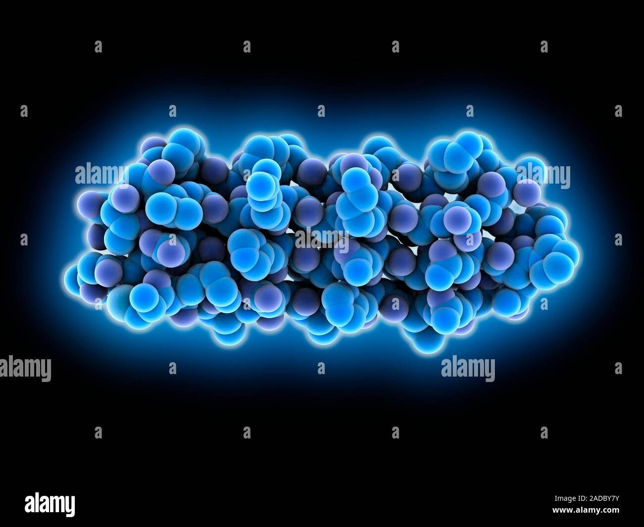 Antifreeze protein from snow flea. Computer model showing the structure ...