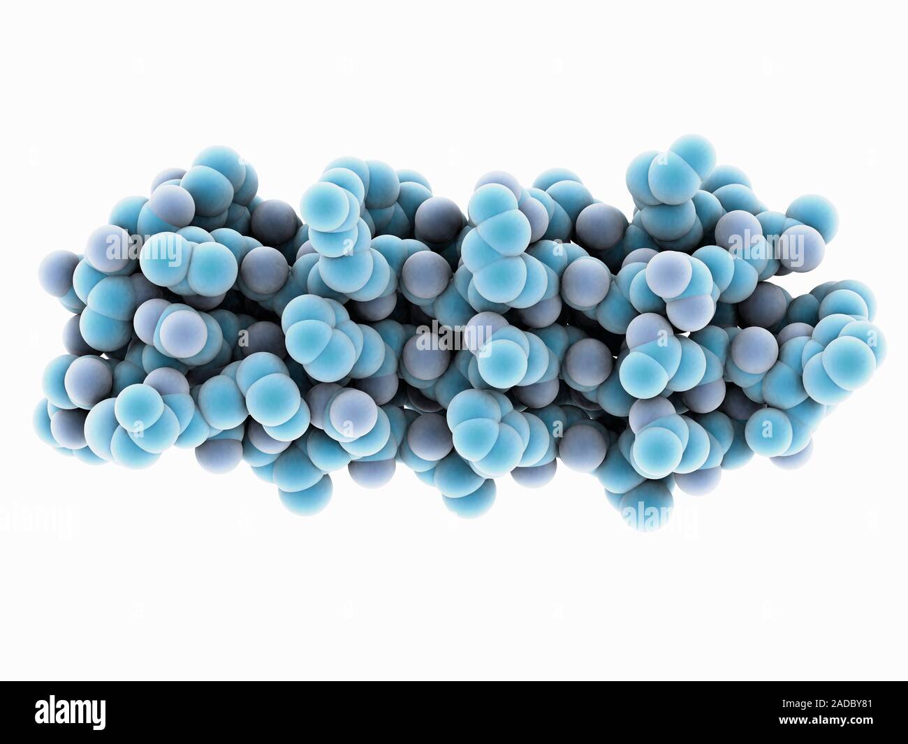 Antifreeze protein from snow flea. Computer model showing the structure ...