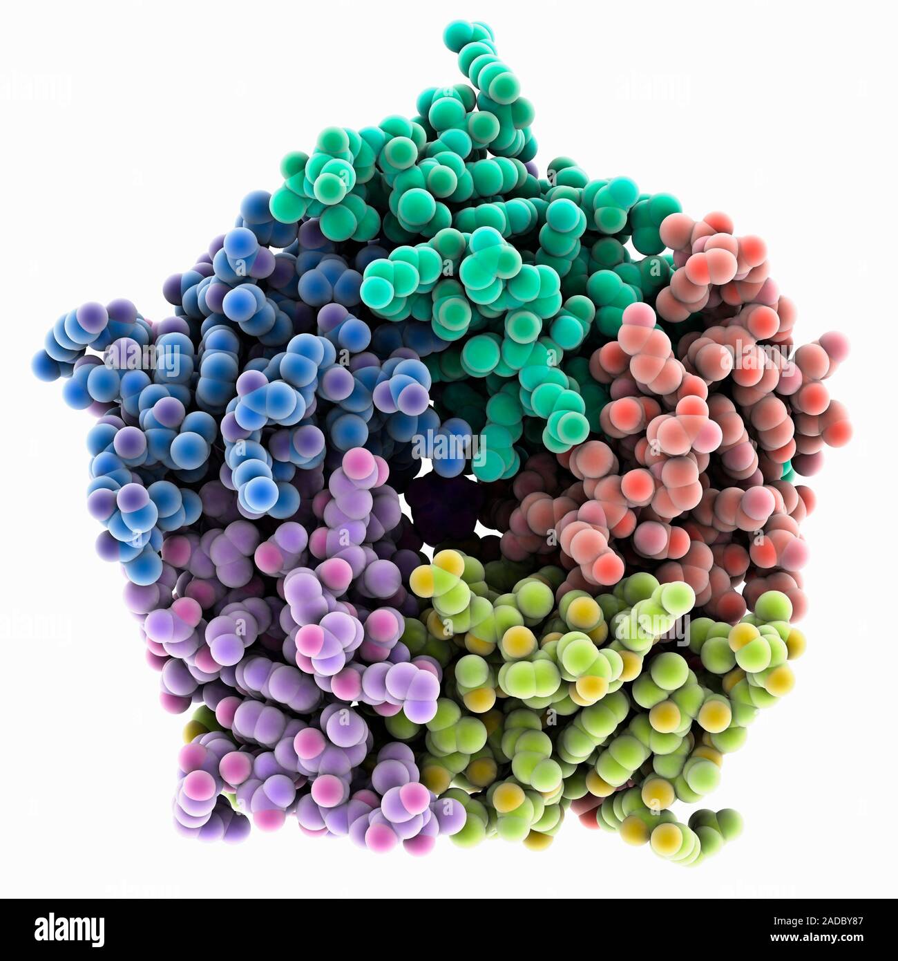 Carboxysome subunit molecule. Computer model showing the structure of a ...