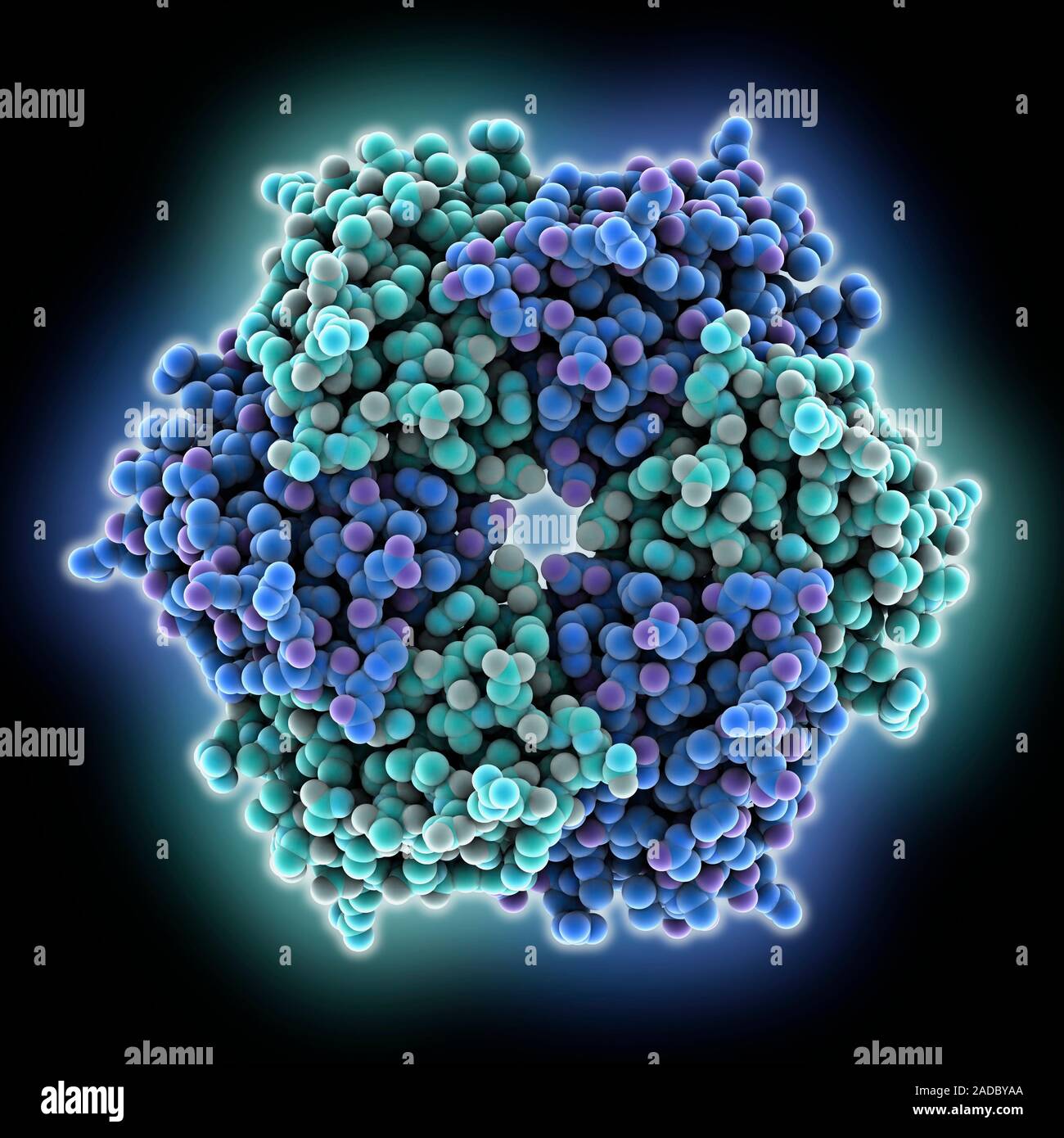 Carboxysome subunit molecule. Computer model showing the structure of a ...