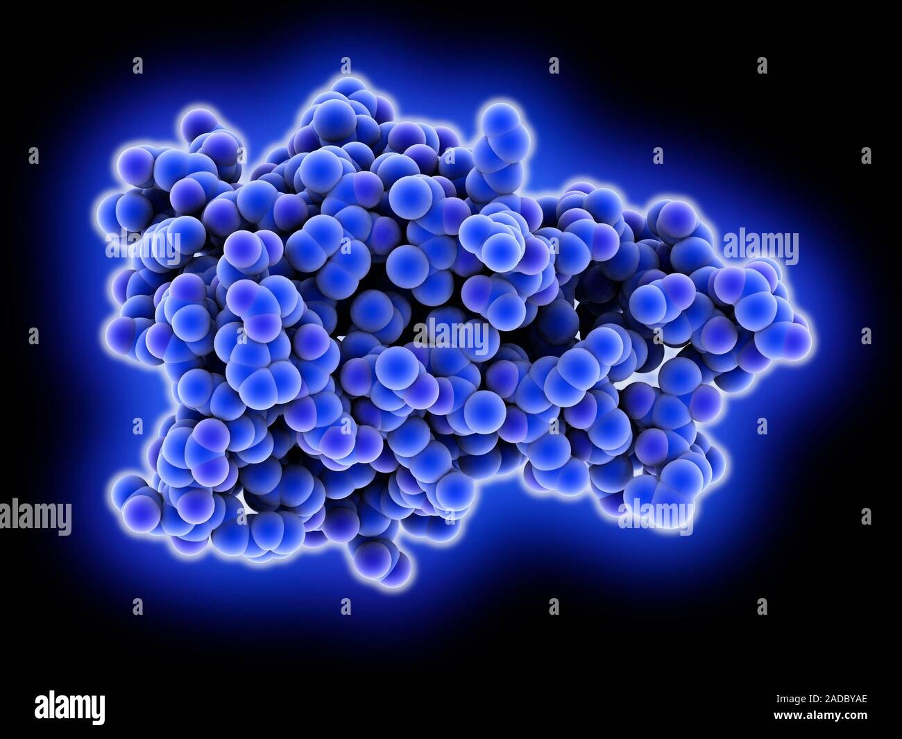 Bacterial sensor domain molecule. Computer model showing the structure ...