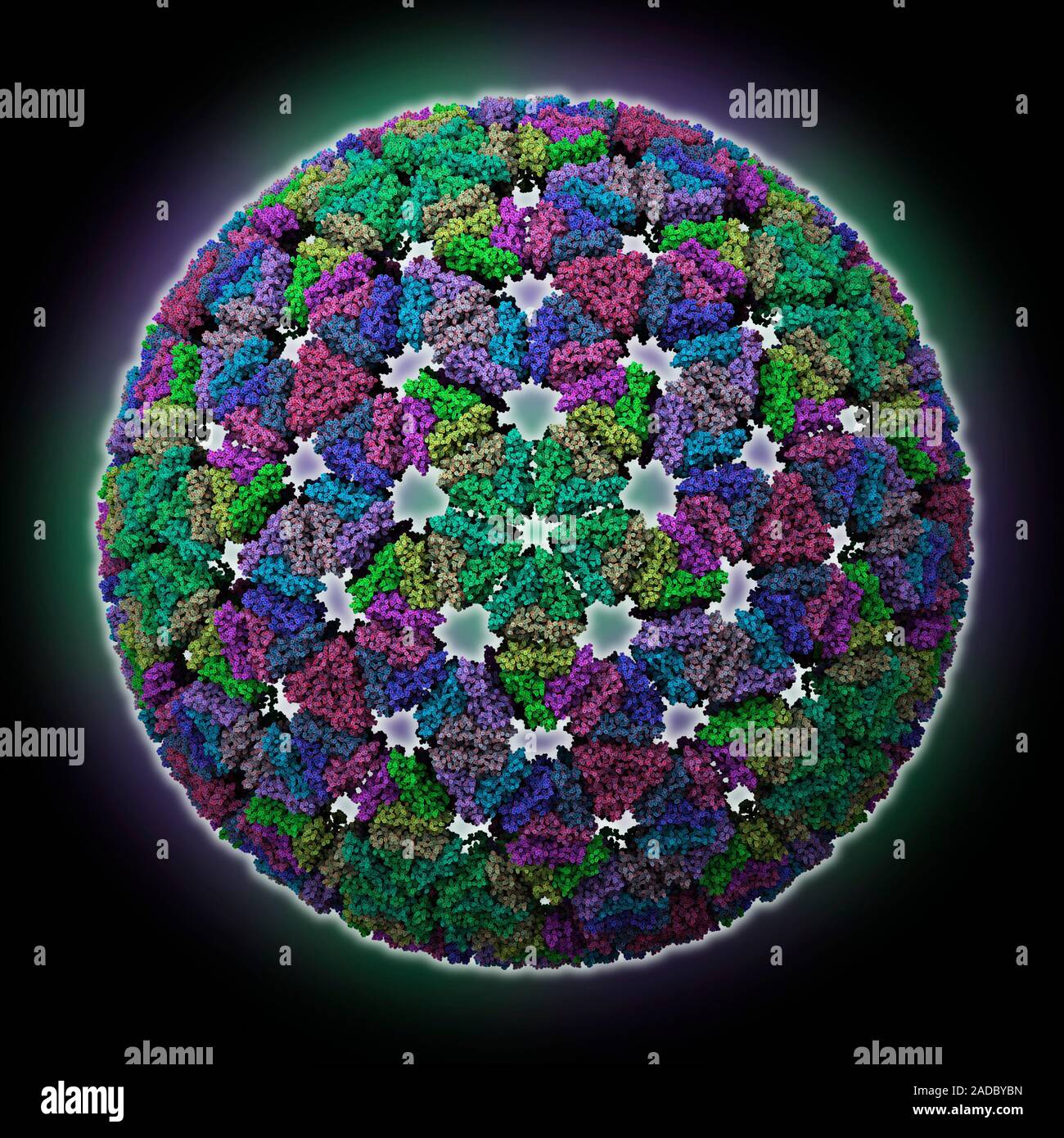 Rotavirus Inner Capsid With Vp7 Coating Computer Model Showing The Structure Of A Rotavirus