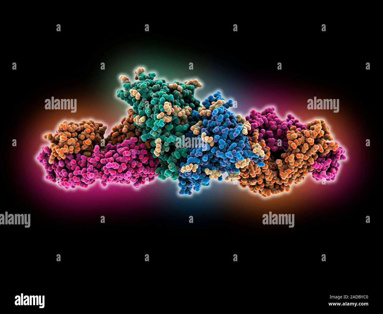 HIV-1 glycoprotein GP120 complex. Computer model showing the structure ...