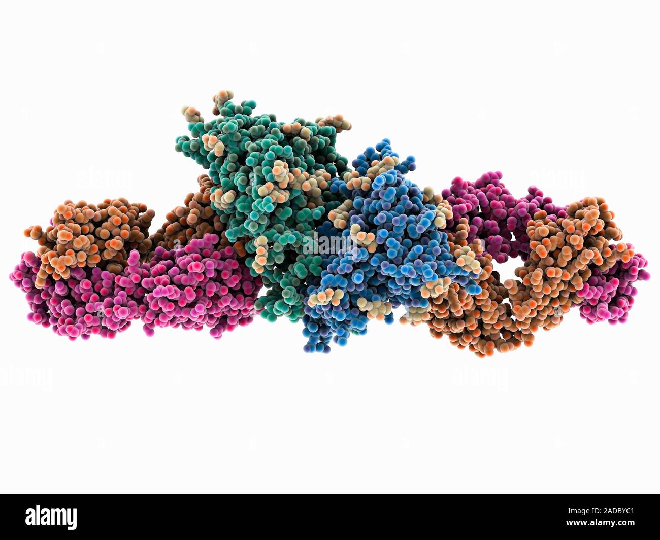 HIV-1 glycoprotein GP120 complex. Computer model showing the structure ...