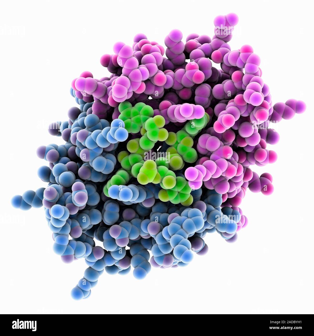 CRISPR-associated AfCsx3 RNA (ribonucleic acid) complex. Computer model ...