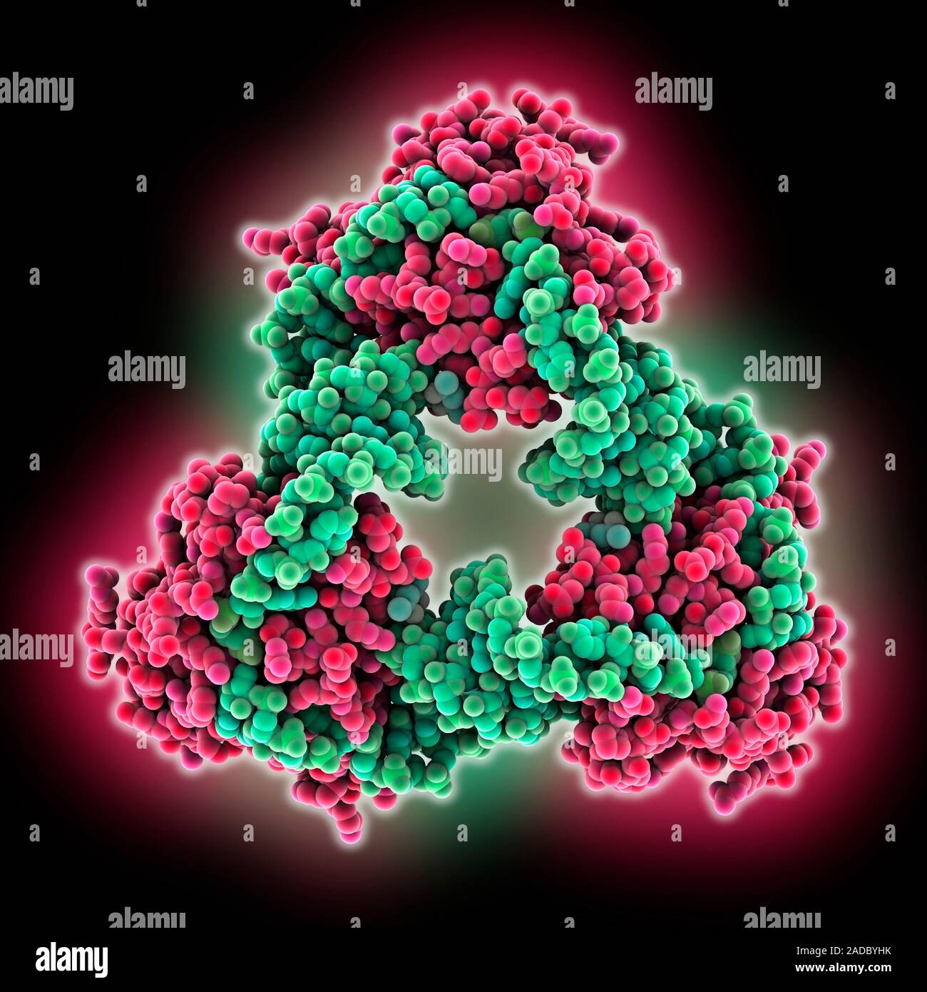 Bacterial toxin complexed with antitoxin RNA (ribonucleic acid ...