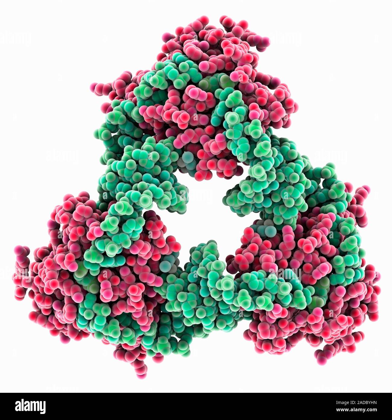 Bacterial toxin complexed with antitoxin RNA (ribonucleic acid ...