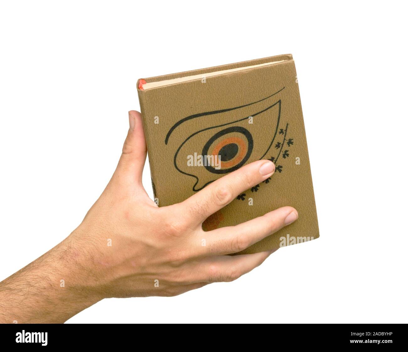 Hand with book isolated on white background Stock Photo - Alamy