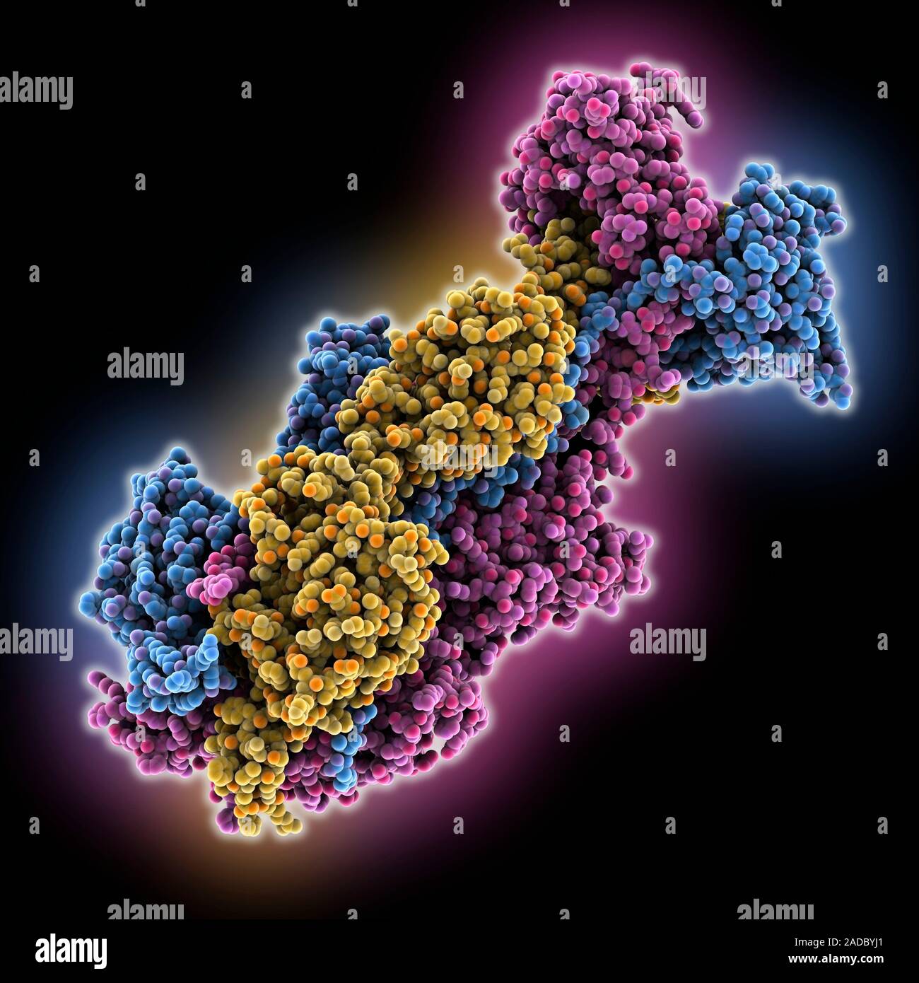 Herpes Virus Fusion Glycoprotein Computer Model Showing The Trimeric Structure Of The Herpes