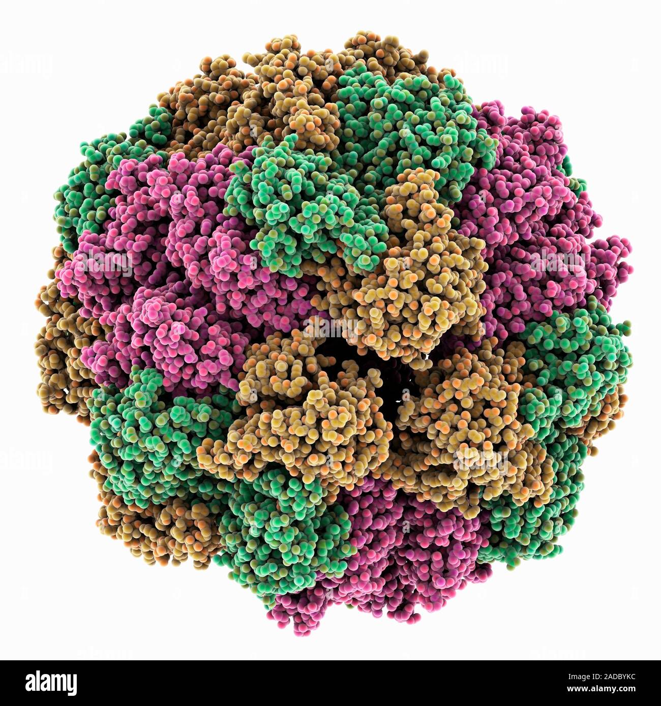 F420-reducing hydrogenase molecule. Computer model showing the ...