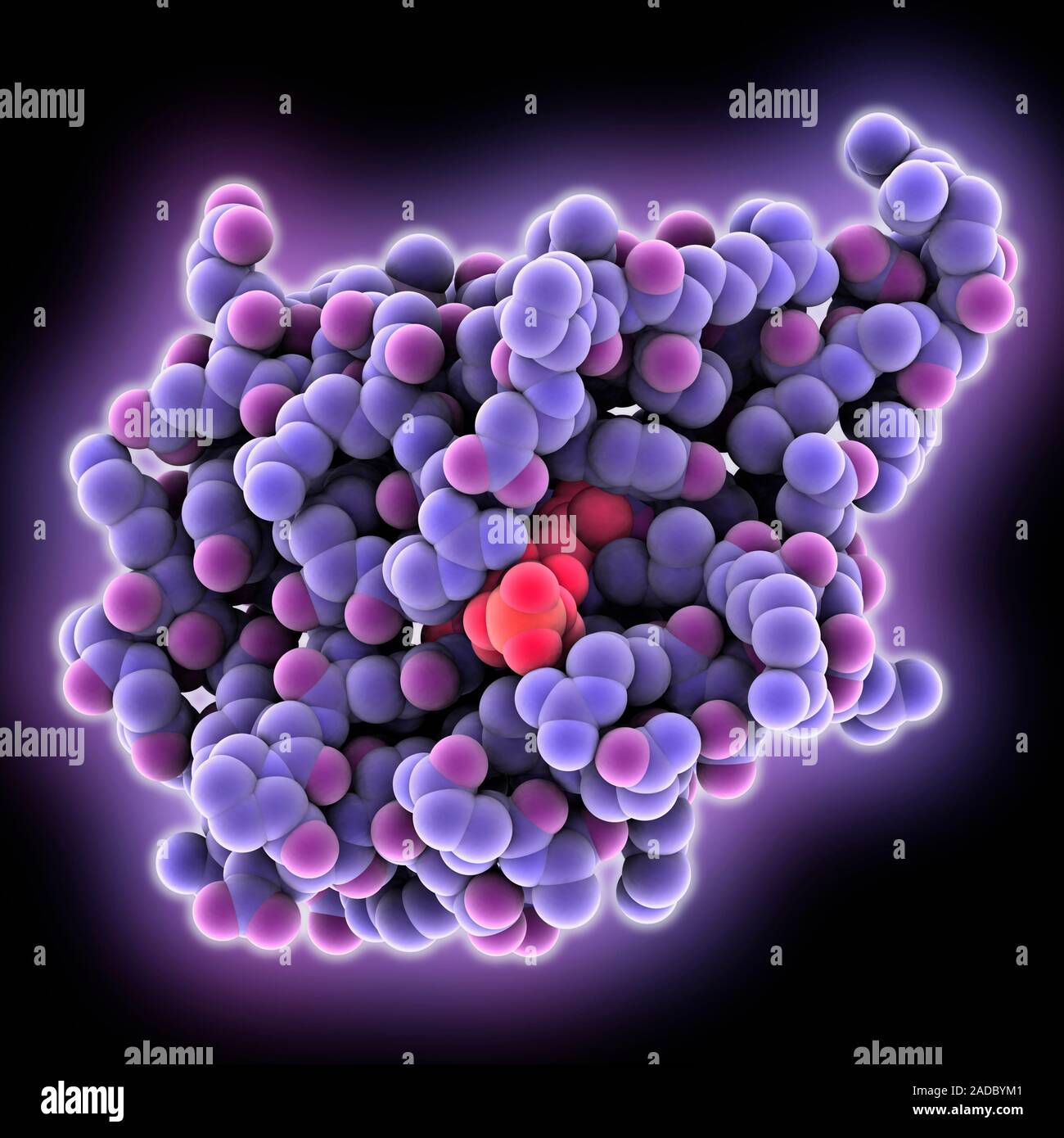 Engineered fluorescent LOV molecule. Computer model of an flavoprotein ...