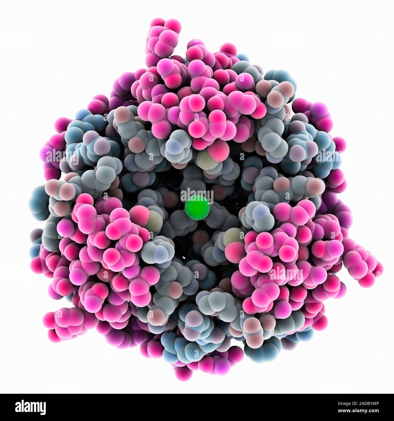 Insulin aspart molecule. Computer model showing the structure of ...