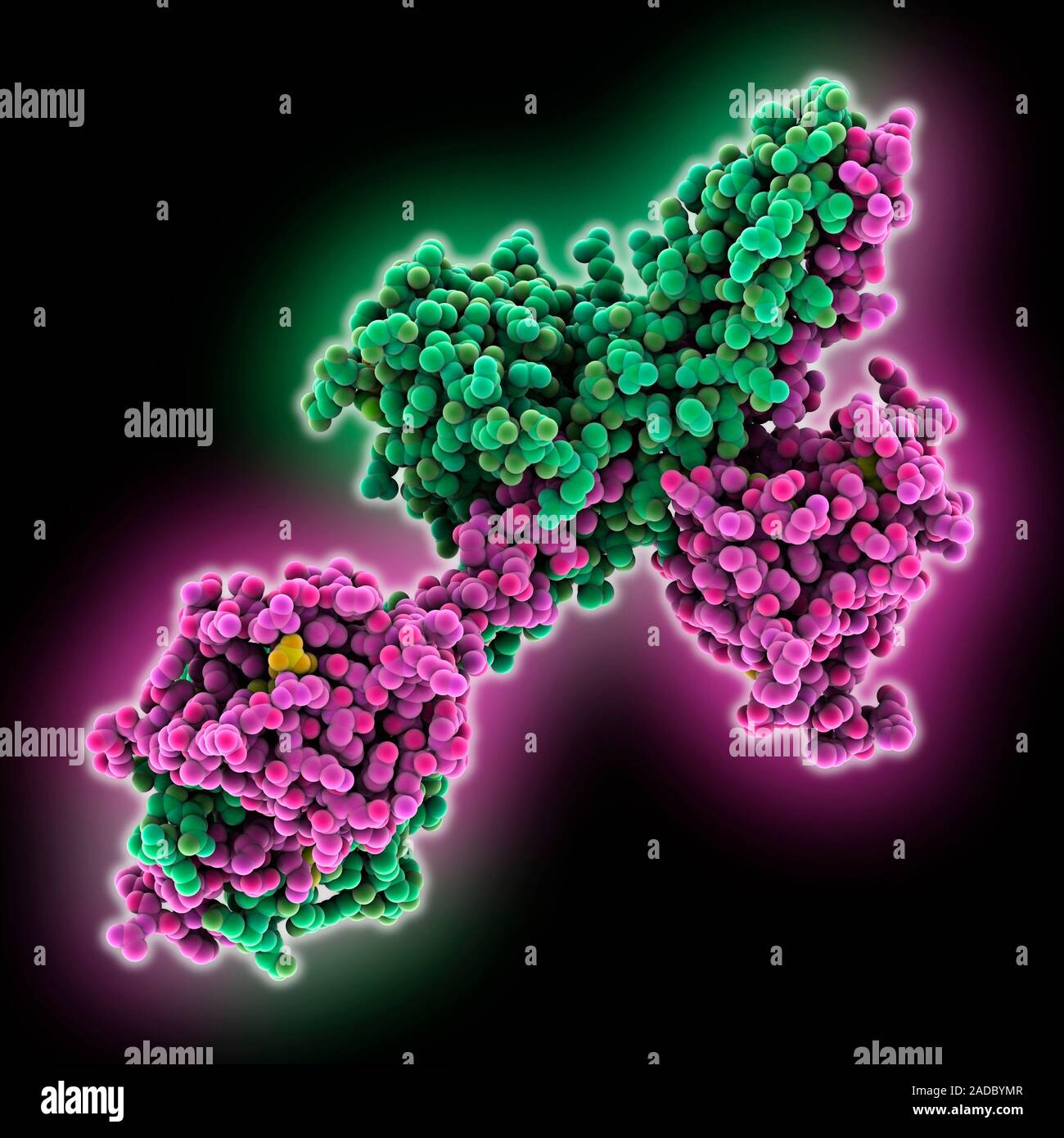 LOV custom light sensor domain molecule. Computer model showing the ... LOV custom light sensor domain molecule. Computer model showing the ...