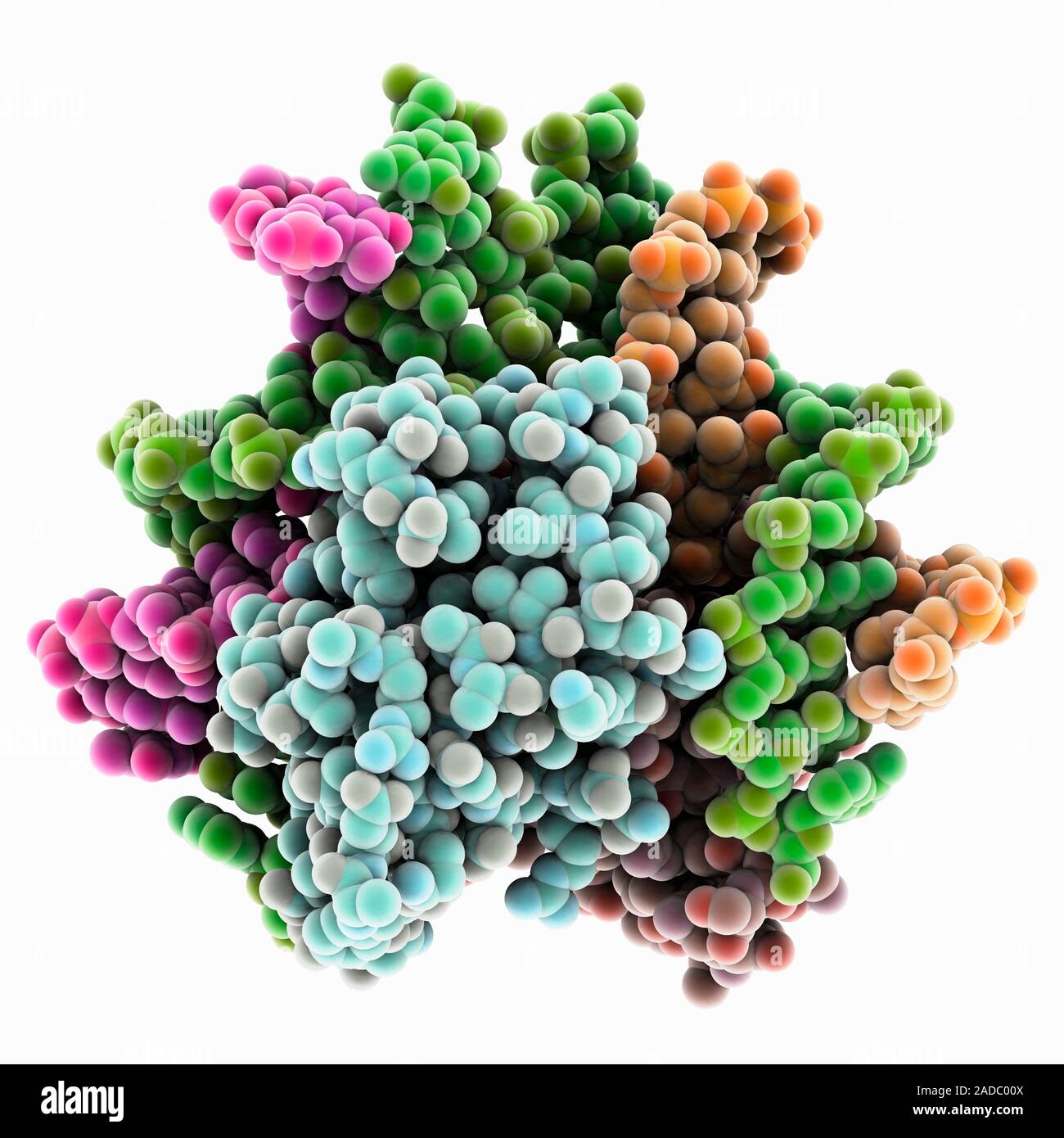 Accessory gene regulator A complexed with DNA (deoxyribonucleic acid ...