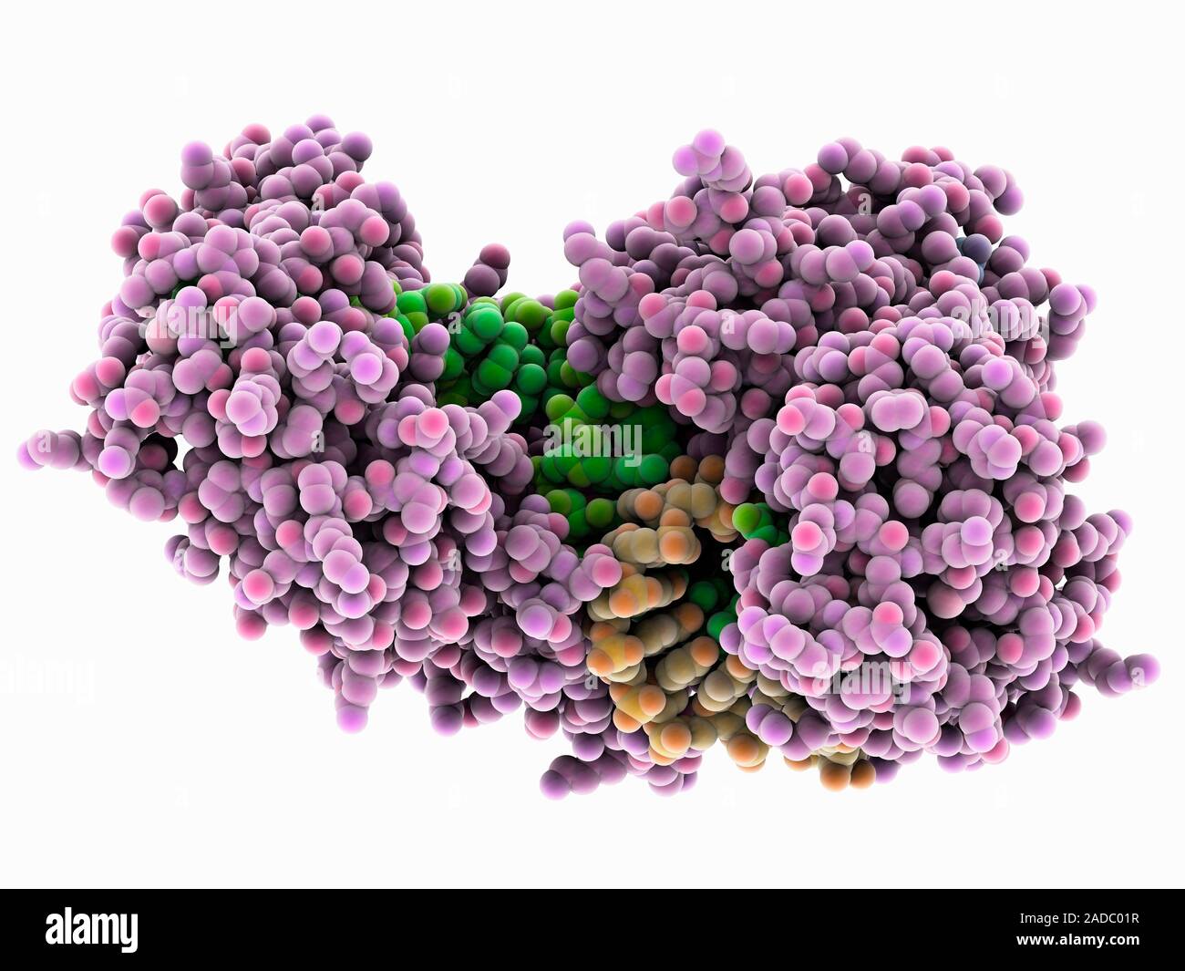 Human argonaute2 protein target RNA (ribonucleic acid) complex ...