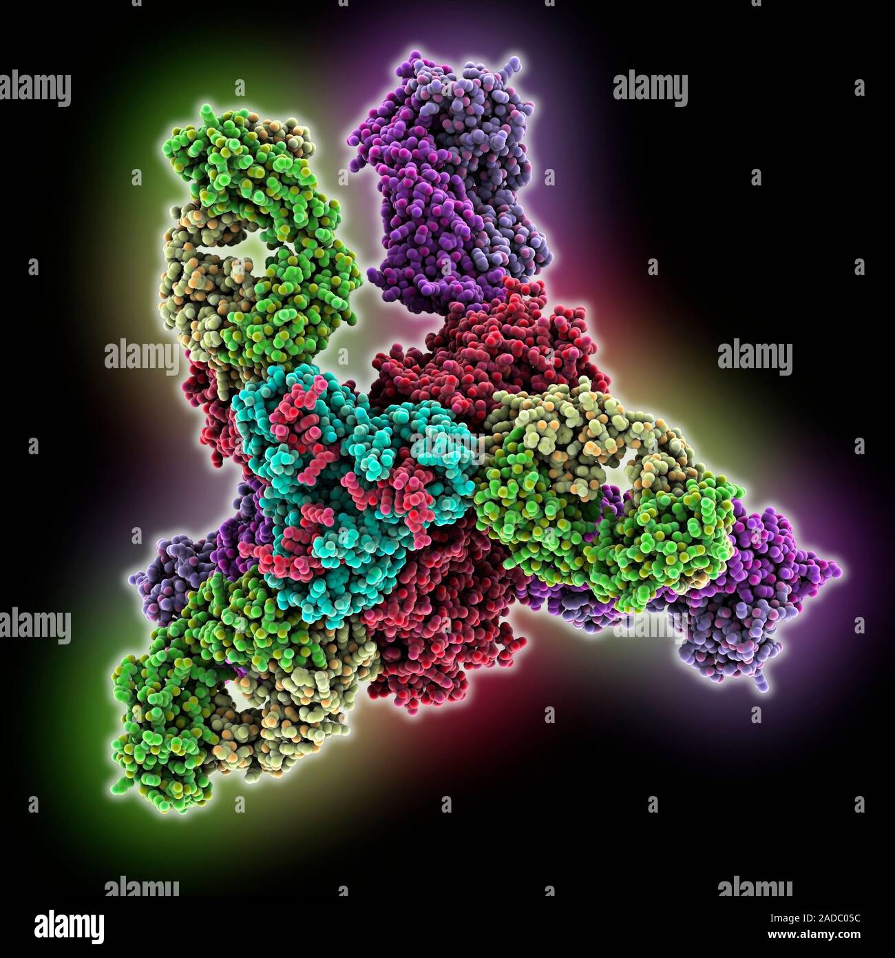 HIV-1 (human immunodeficiency virus-1) GP120 and GP41 complexed with ...