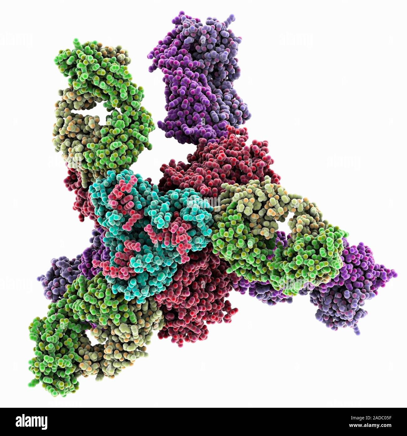 HIV-1 (human immunodeficiency virus-1) GP120 and GP41 complexed with ...
