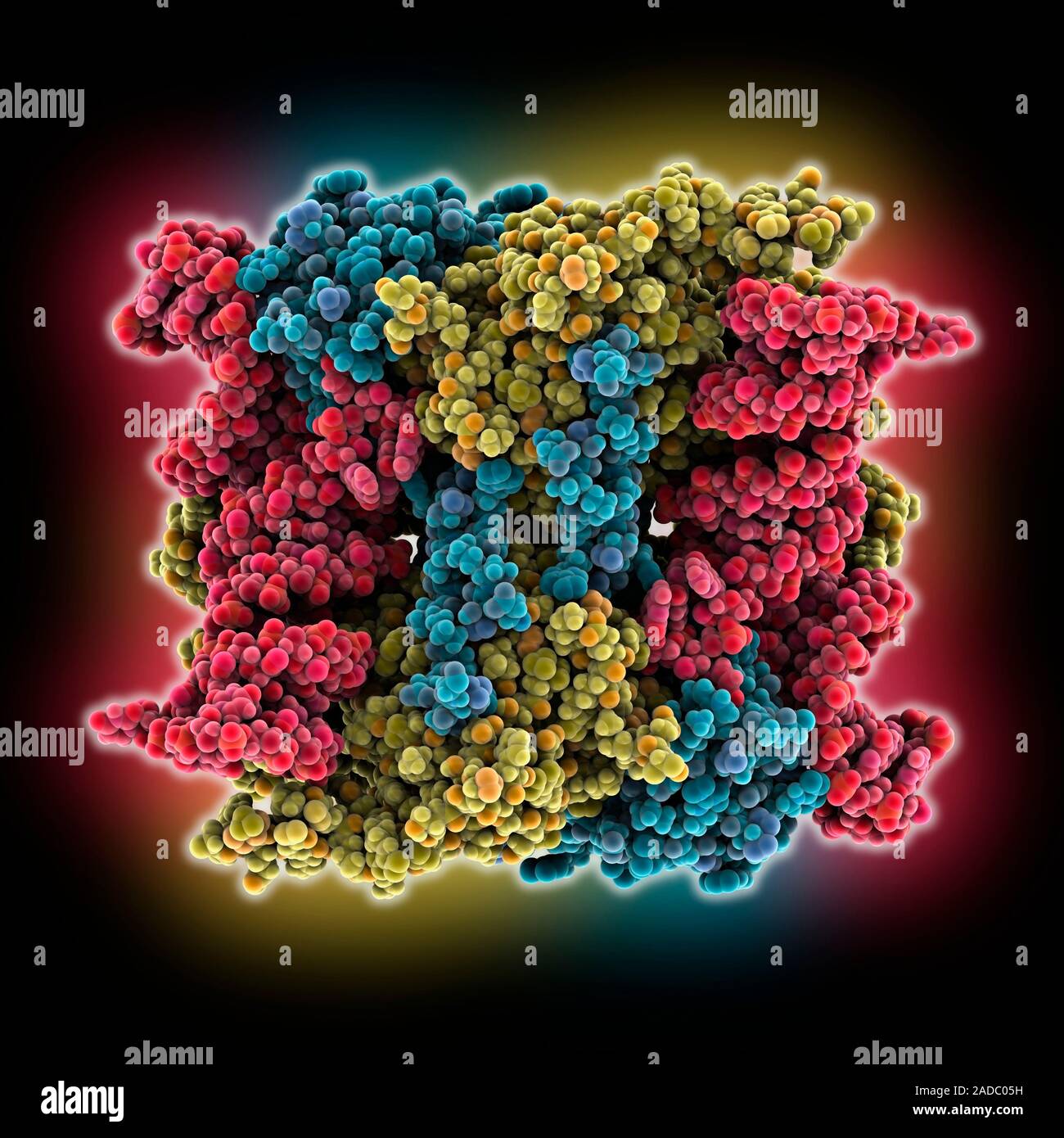 Human methyltransferase tRNA (transfer ribonucleic acid) complex. Human ...