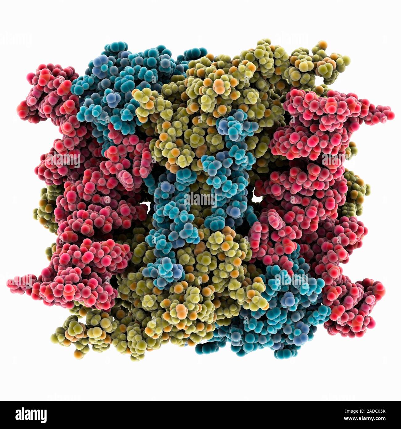 Human methyltransferase tRNA (transfer ribonucleic acid) complex. Human ...