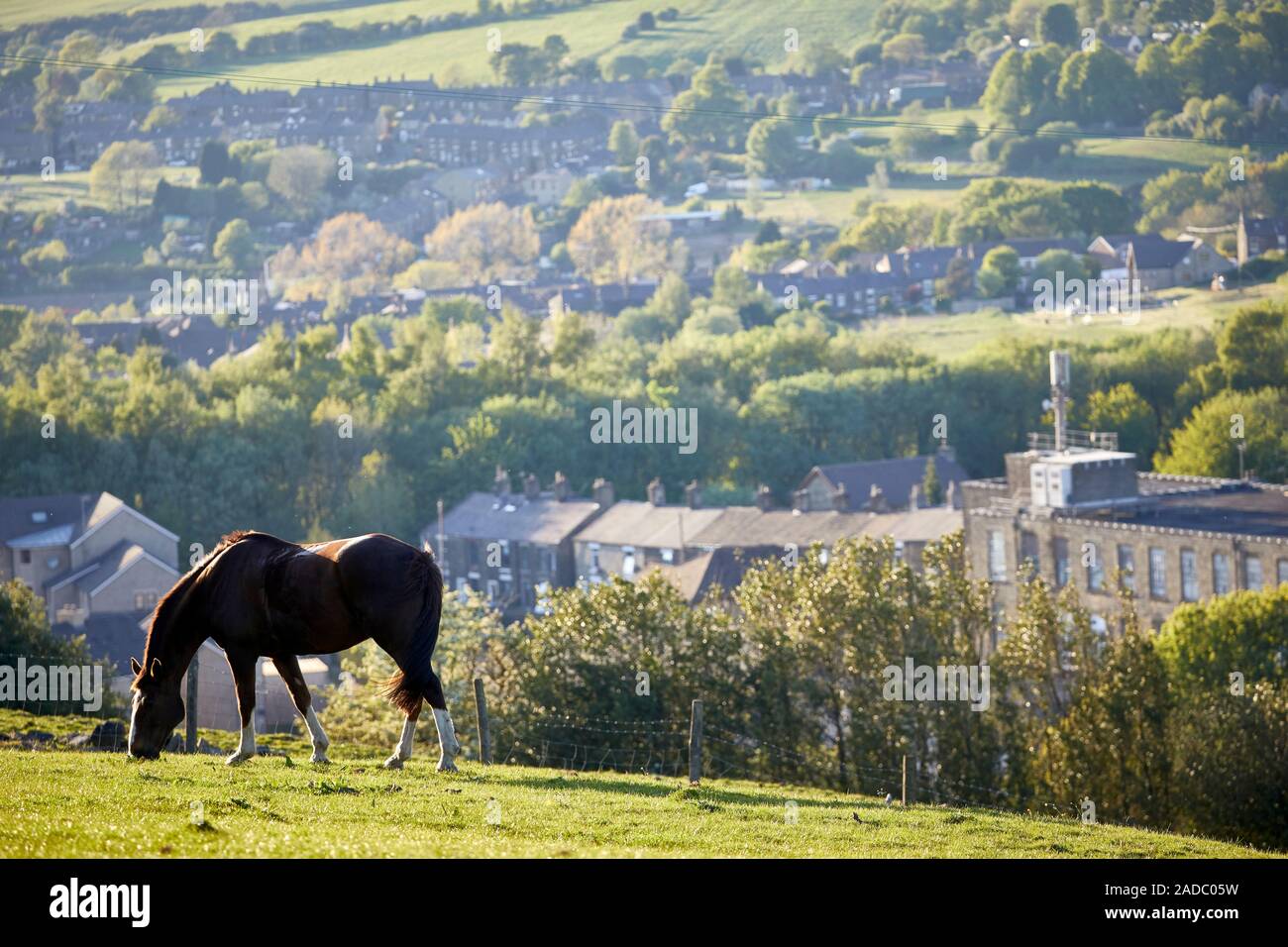 Glossop market town, the High Peak, Derbyshire, England. Looking down into Padfield village ...