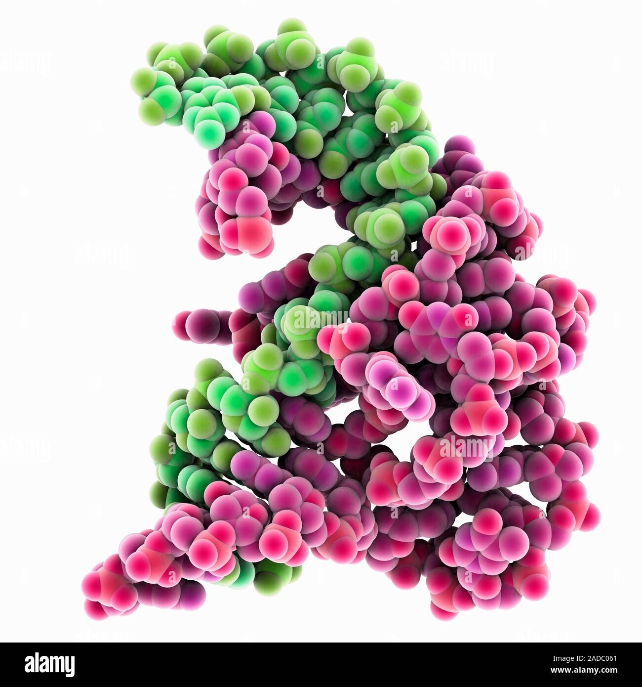 DNA (deoxyribonucleic acid) catalyst complex. Computer model showing ...