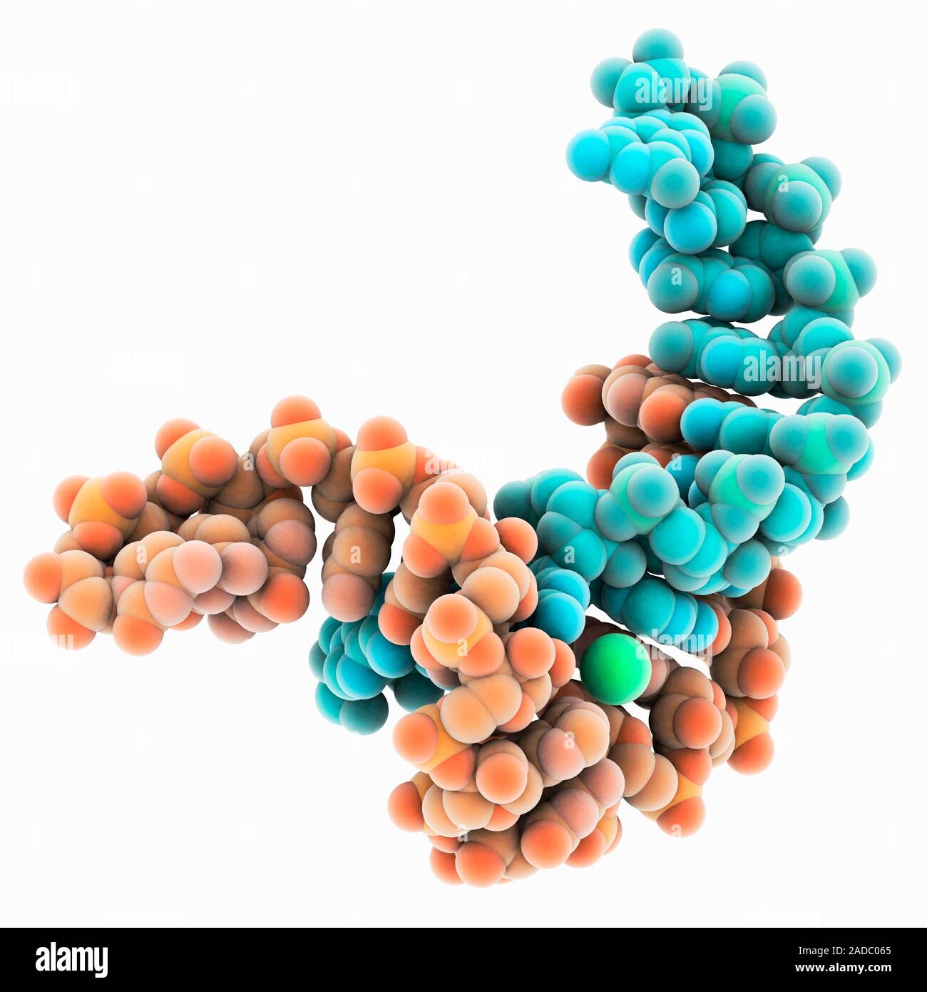 Engineered nanotriangle molecule. Computer model of an engineered self ...