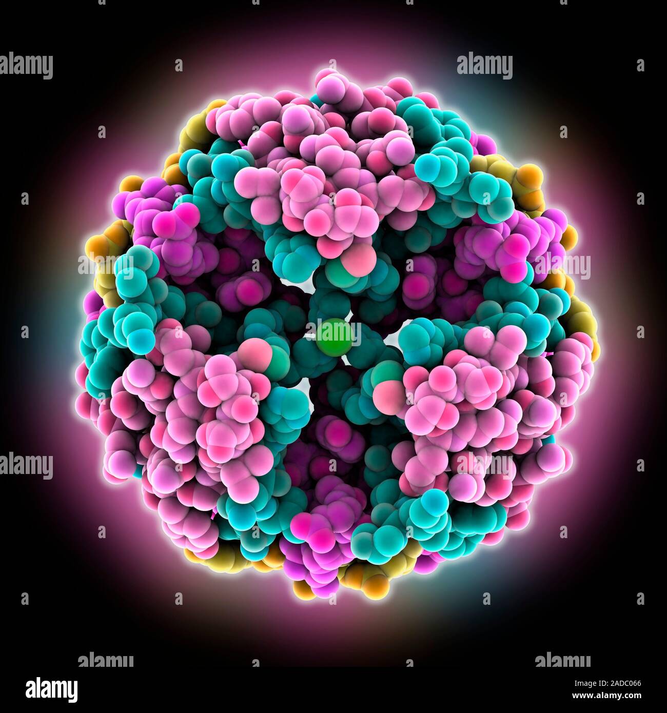 Human insulin at pH 5.5. Computer model showing the 4-chain structure ...