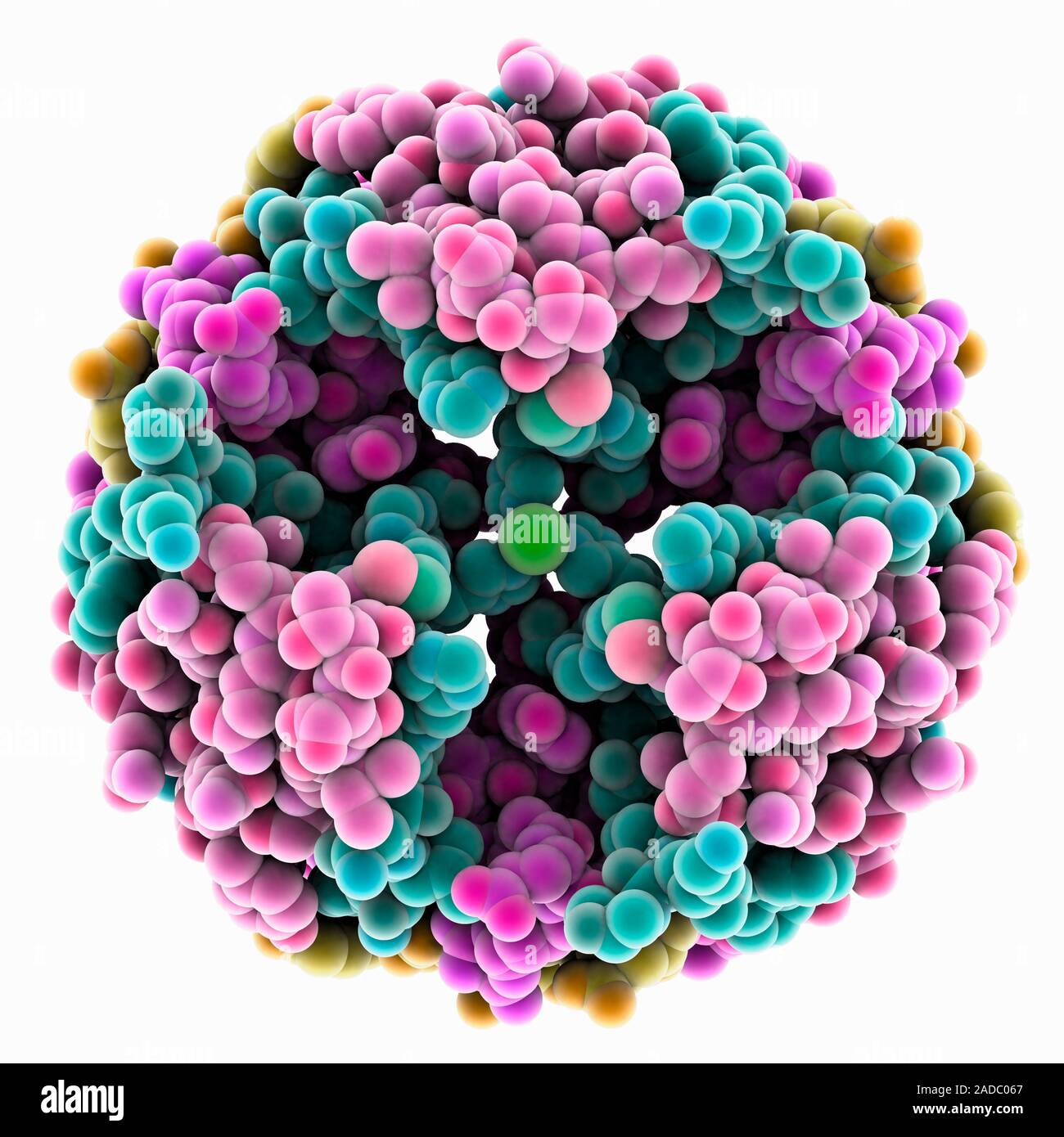 Human insulin at pH 5.5. Computer model showing the 4-chain structure ...