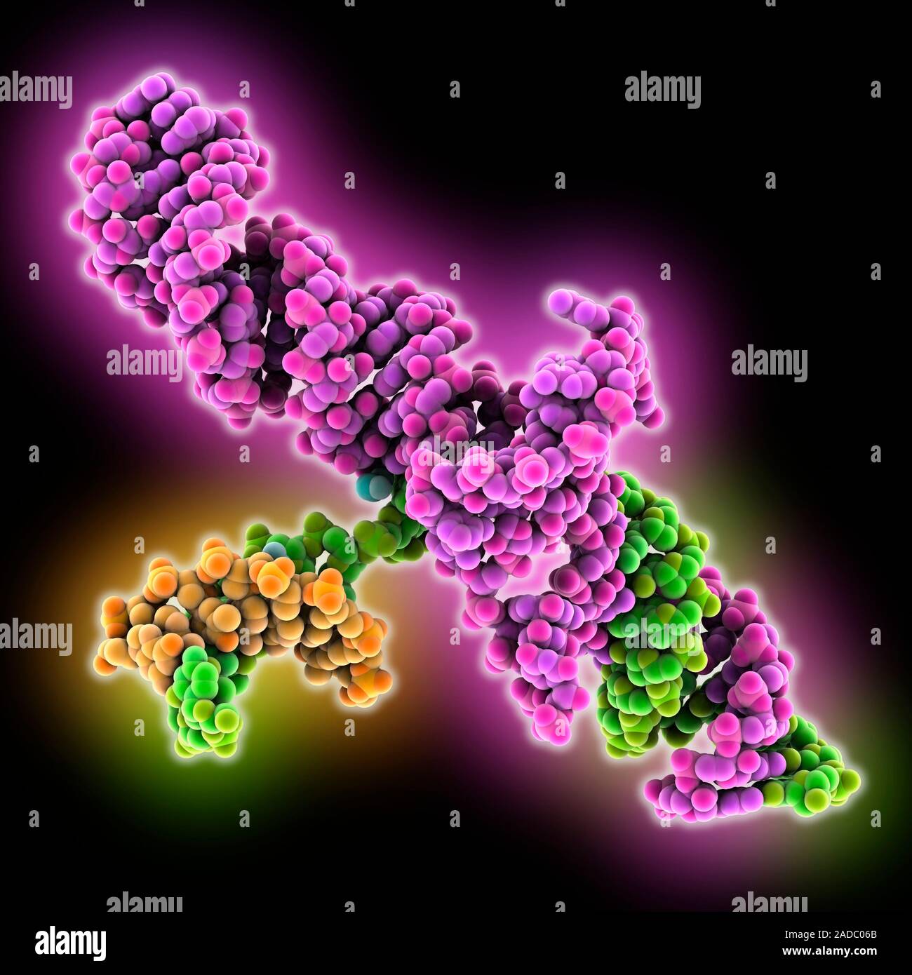 CRISPR Cas9 RNA DNA complex. Computer model showing the structure of ...