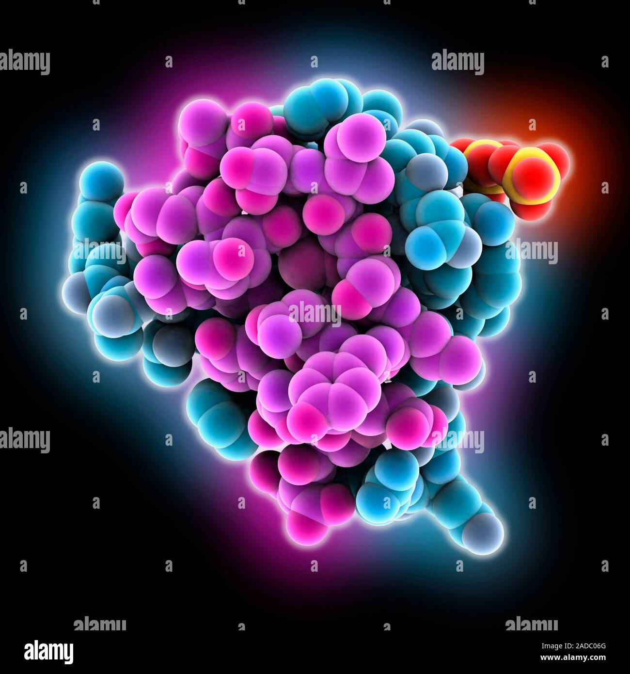 Porcine insulin molecule at room temperature. Computer model showing ...