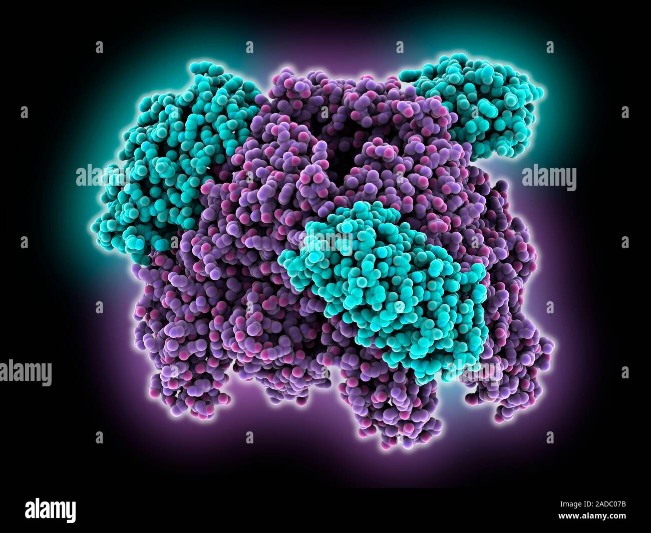 Bacterial multidrug efflux pump. Computer model showing the structure ...