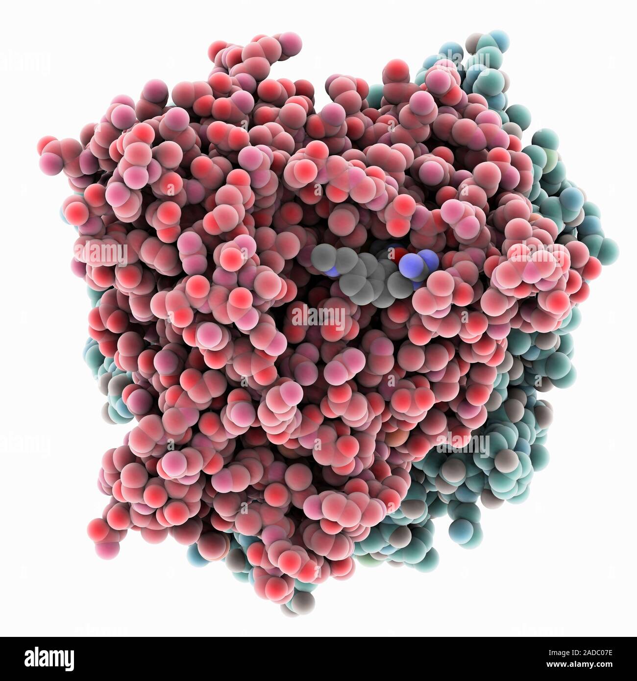 HIV-1 (human immunodeficiency virus-1) GP120 complex with JP-III-048 ...