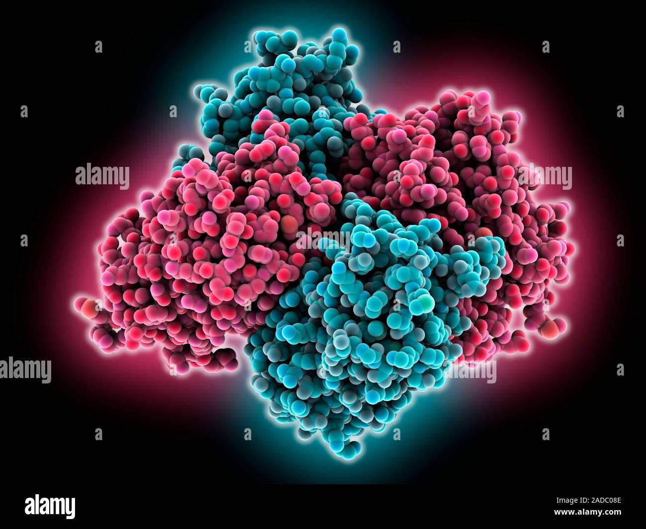 Photoswitchable protein IrisFP molecule. Computer model showing the ...