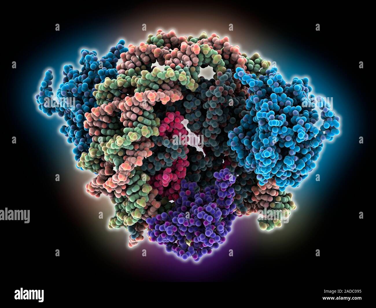 Histone H4 and methyltransferase bound to nucleosome core particle ...
