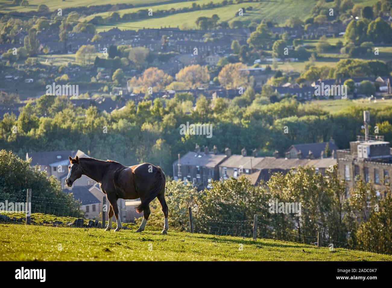 Glossop market town, the High Peak, Derbyshire, England. Looking down ...