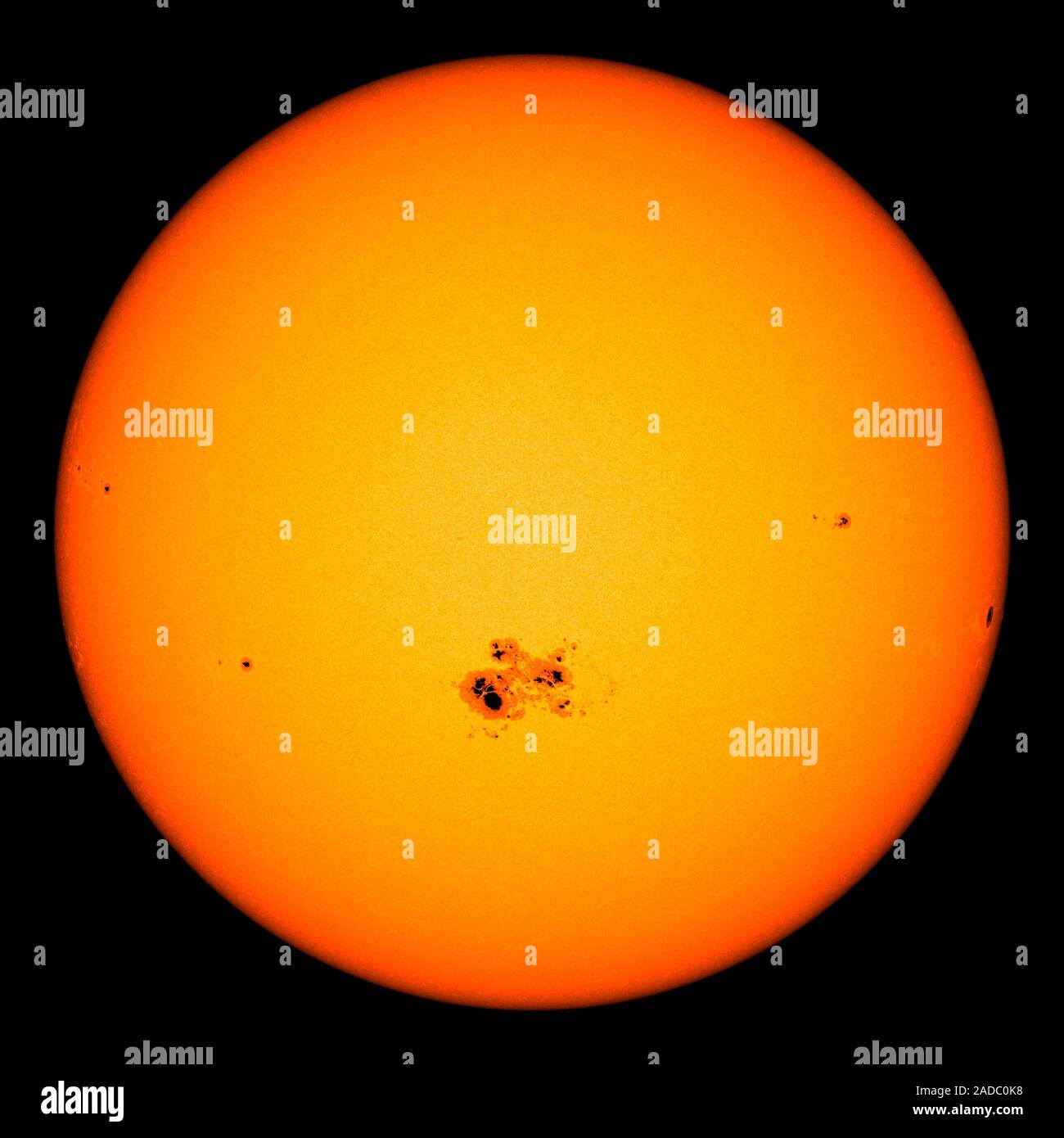 Sunspot AR2192, Solar Dynamics Observatory (SDO) image. Sunspots are ...