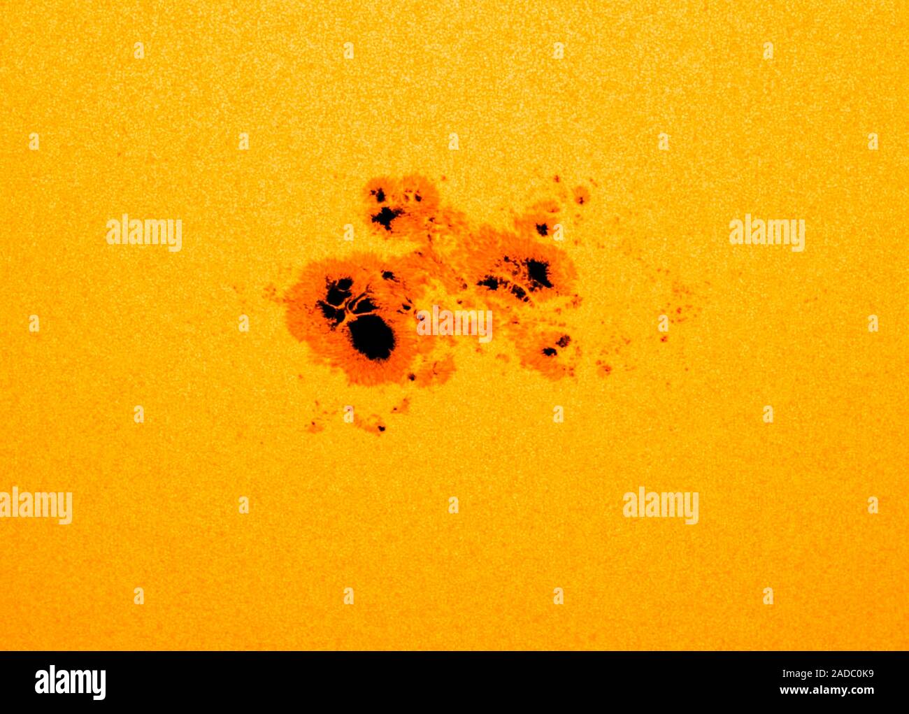 Sunspot AR2192, Solar Dynamics Observatory (SDO) image. Sunspots are ...