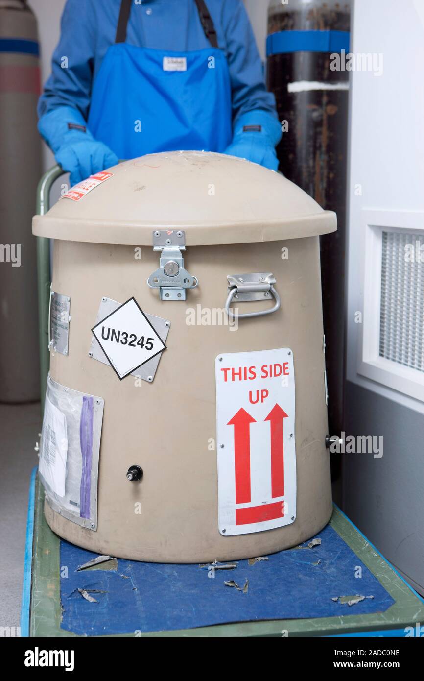 Cryopreservation in stem cell research. Researcher handling stem cell ...