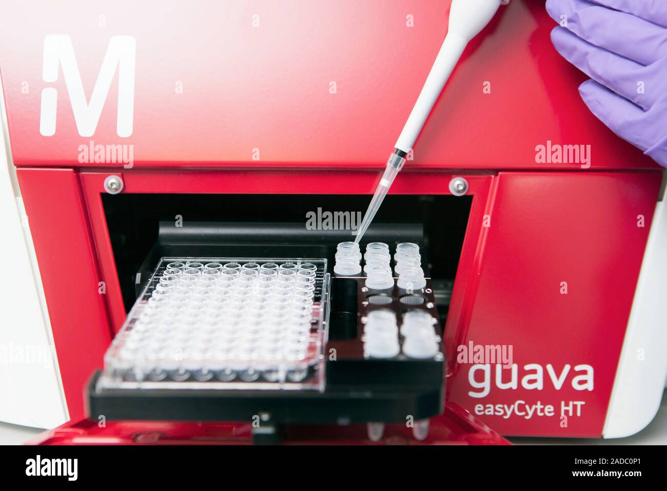 Flow cytometer analysis. Researcher loading cell culture samples into a ...