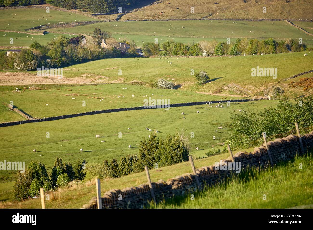 Padfield hi-res stock photography and images - Alamy