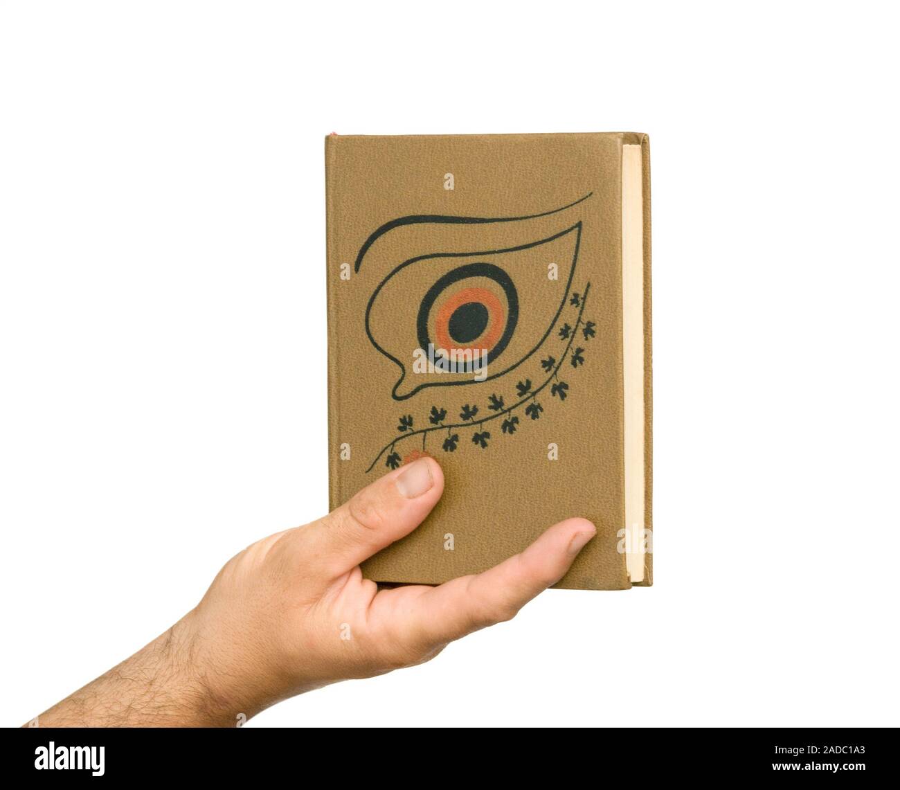 Hand with book isolated on white background Stock Photo - Alamy