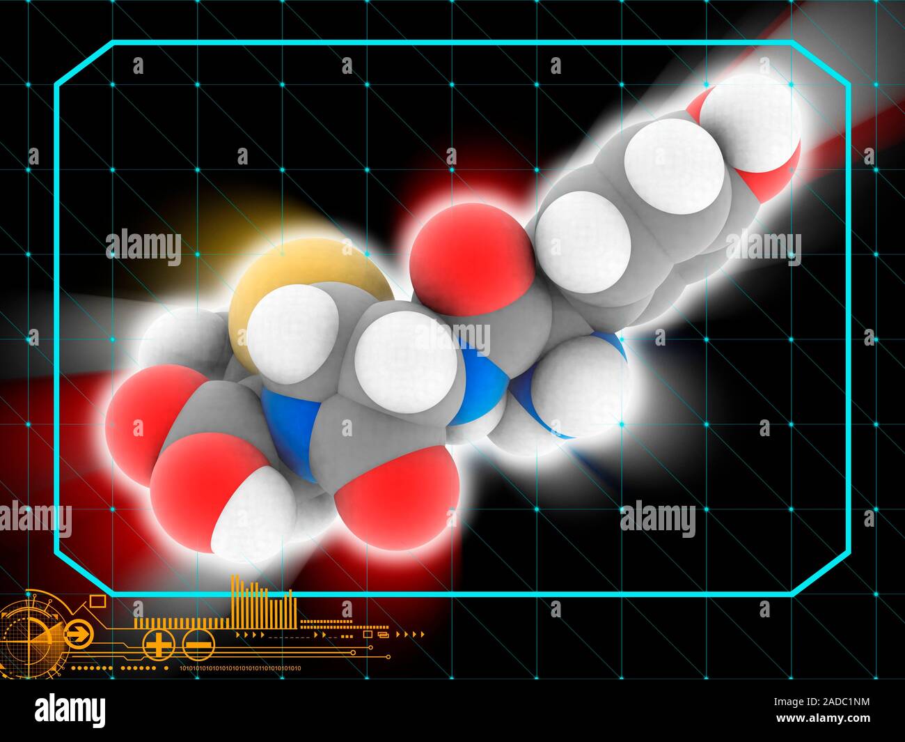 Amoxicillin. Molecular model of the moderate-spectrum, bacteriolytic ...