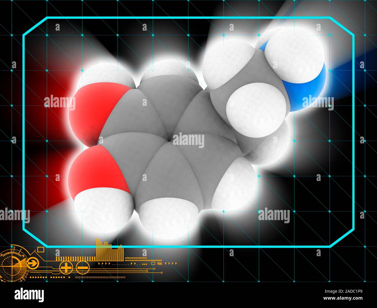 Dopamine. Molecular model of the organic compound dopamine (C8.H11.N.O2 ...