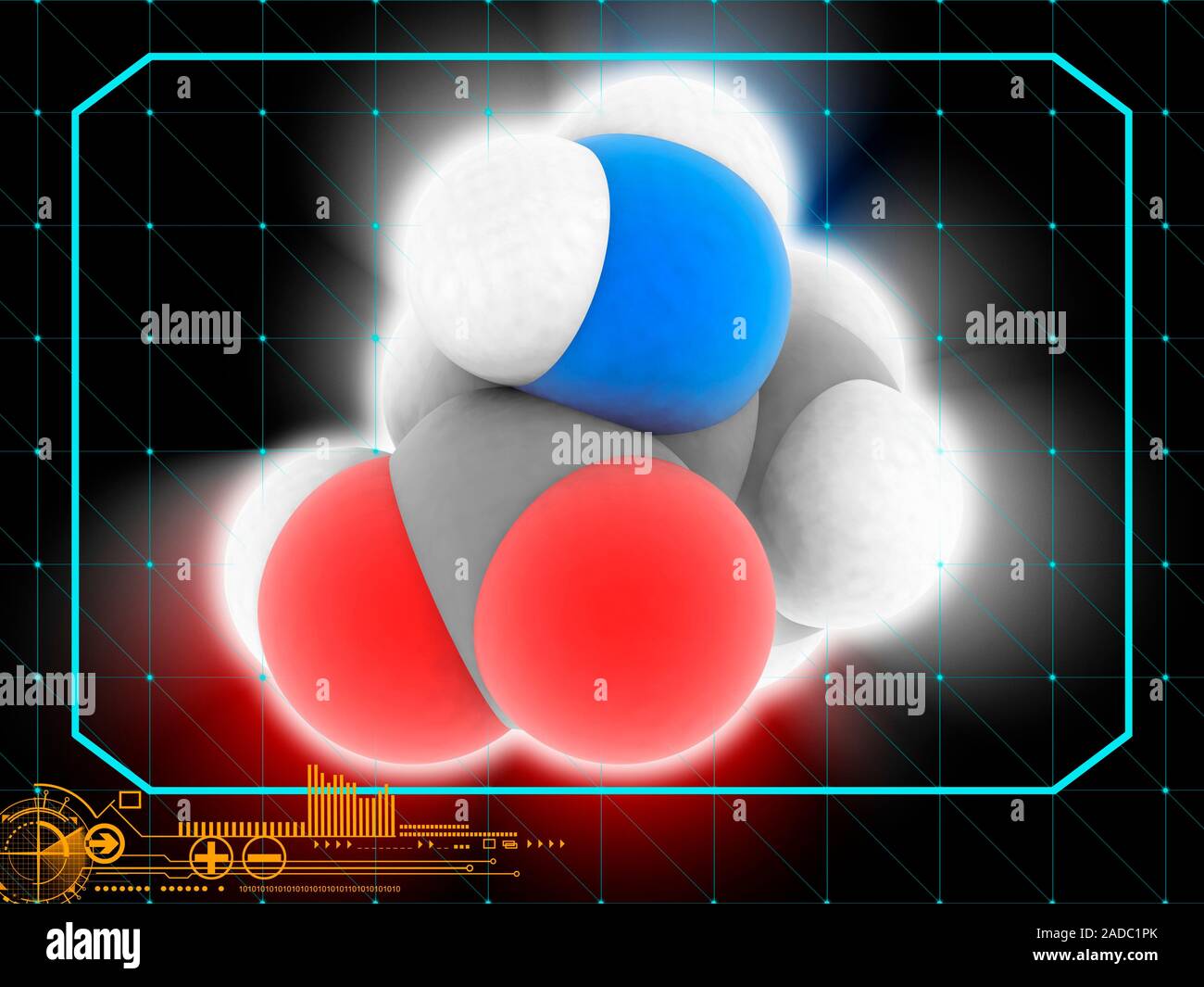 L-Alanine. Molecular model of the amino acid L-alanine (C3.H7.N.O2 ...