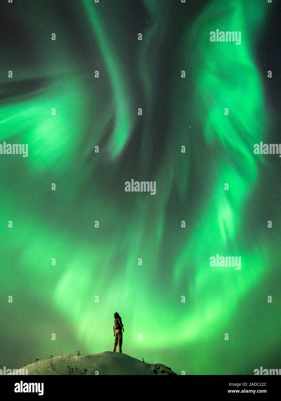 Watching the aurora borealis. Silhouetted human figure on the skyline ...