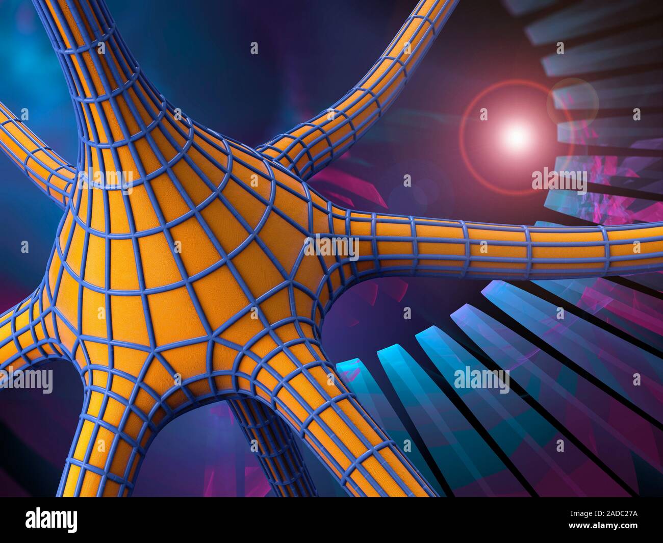 Nerve cell, computer illustration with wireframe rendering. Nerve cells ...