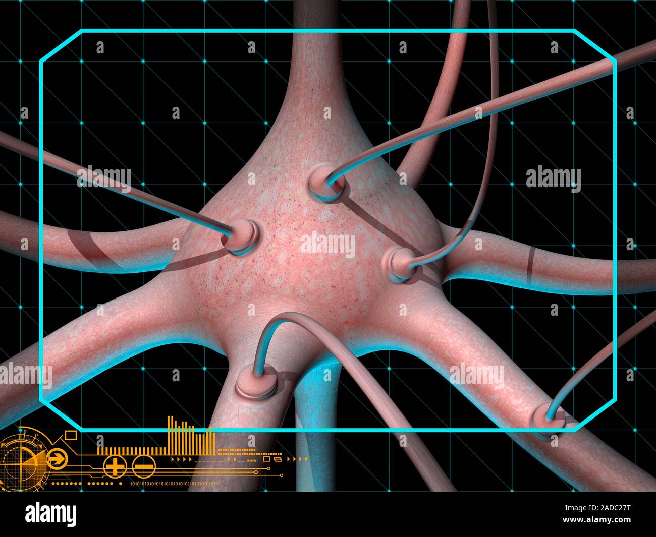 Neuron and synapses, conceptual image. Nerve cells, or neurons, relay ...