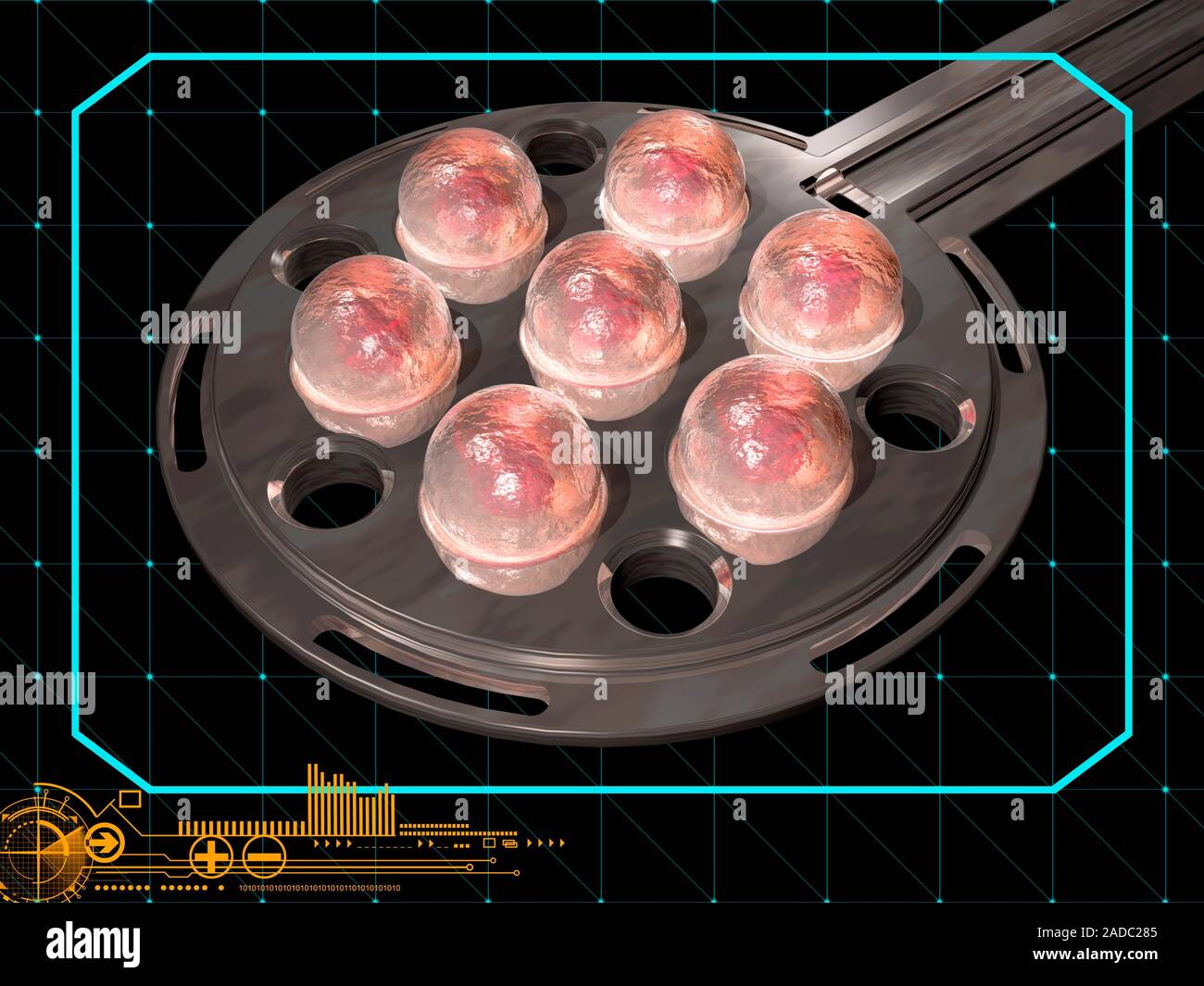 Stem cell research. Conceptual computer illustration showing enlarged ...
